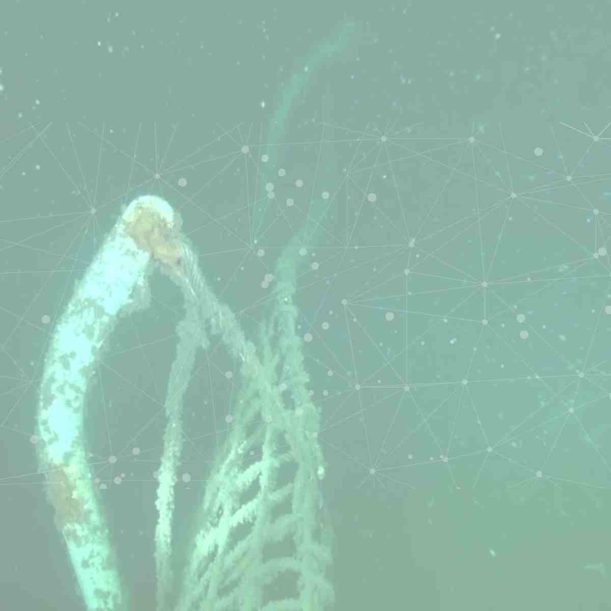 Need to Know About Ubo #2: Technology Reveals Ubo | Asiaverify