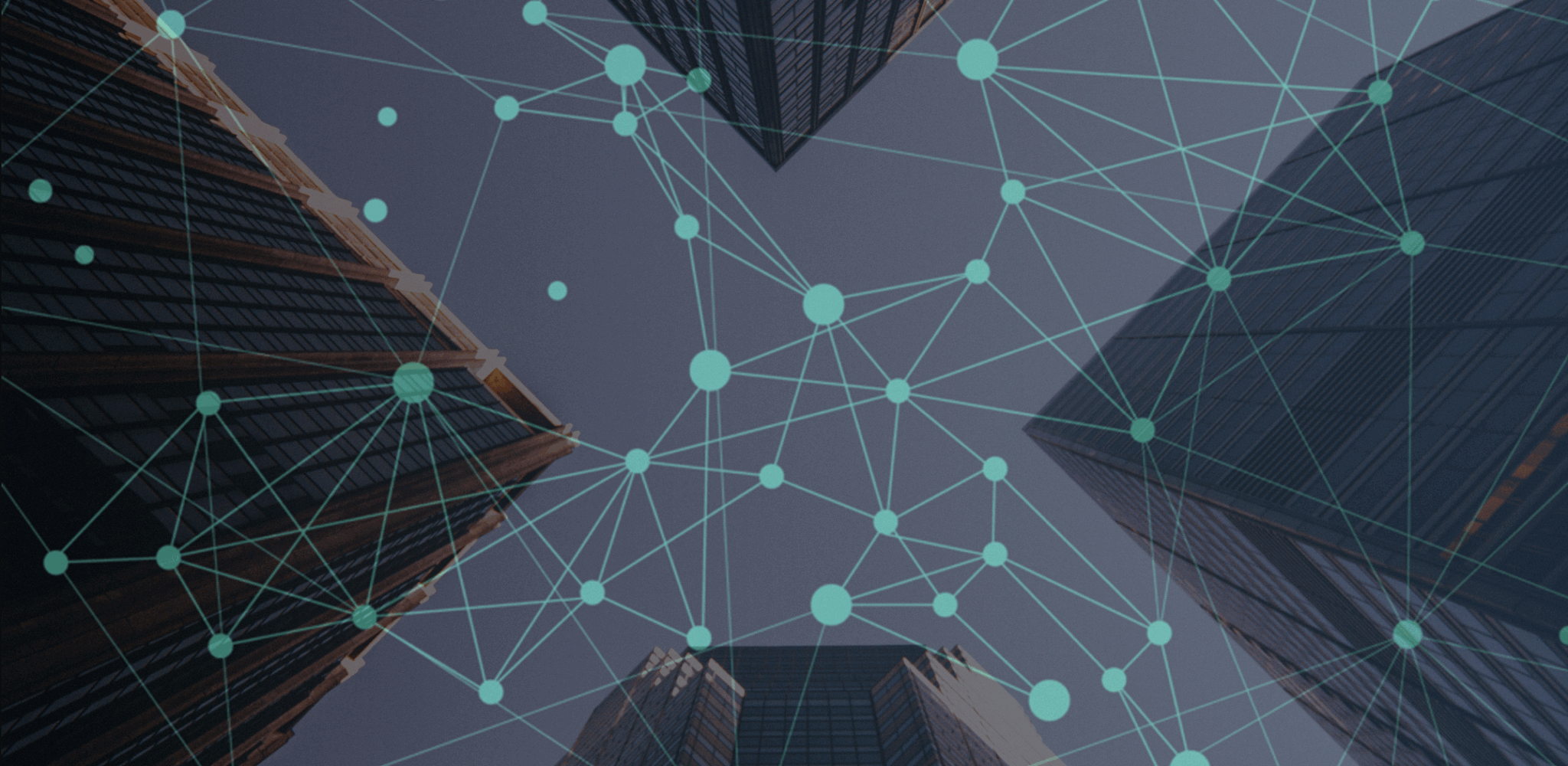 Due Diligence Category | AsiaVerify